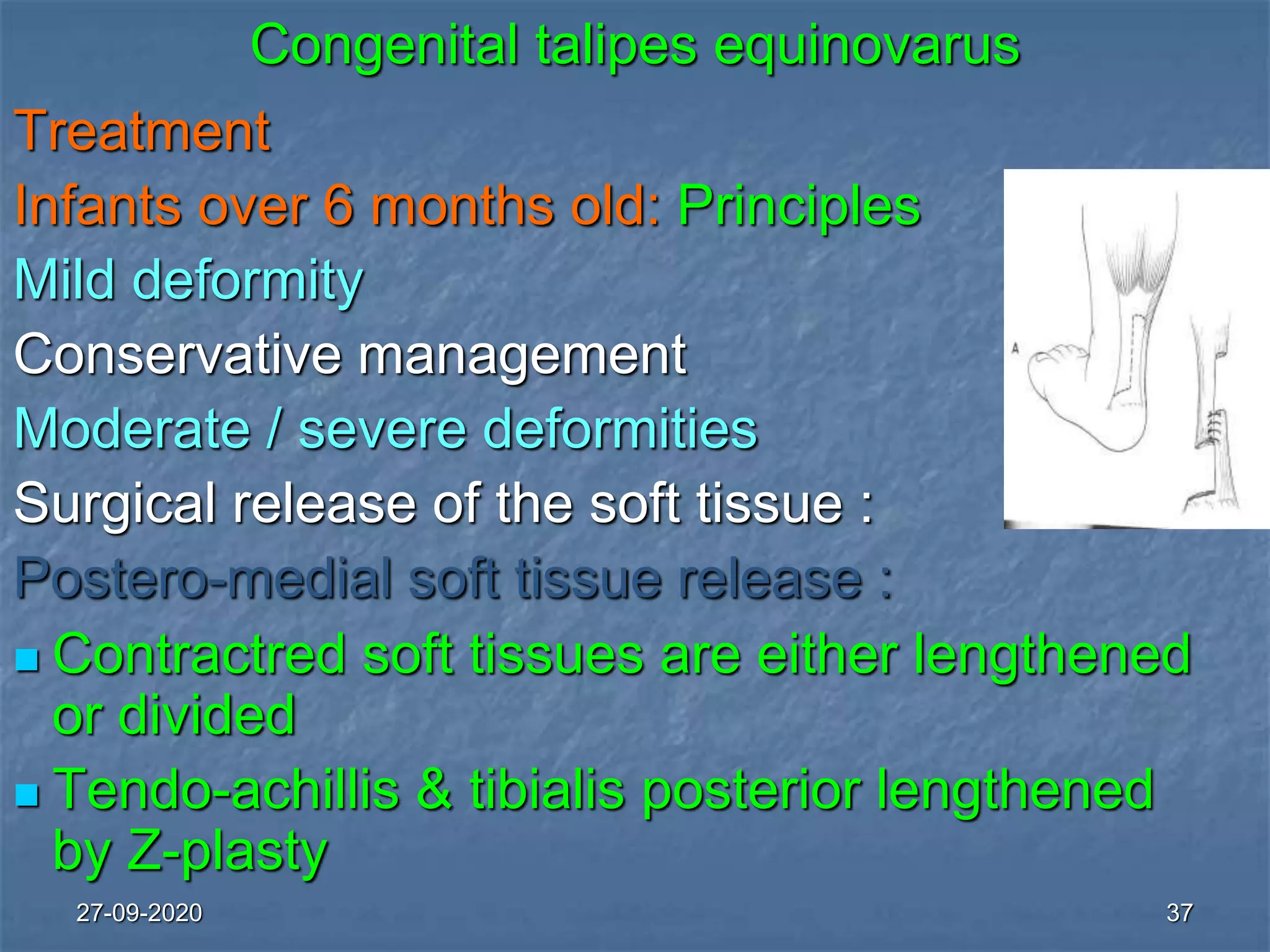 Ctev presentation | PPT