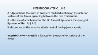 CT FEMUR.ppt showing how to operate a ct | PPT