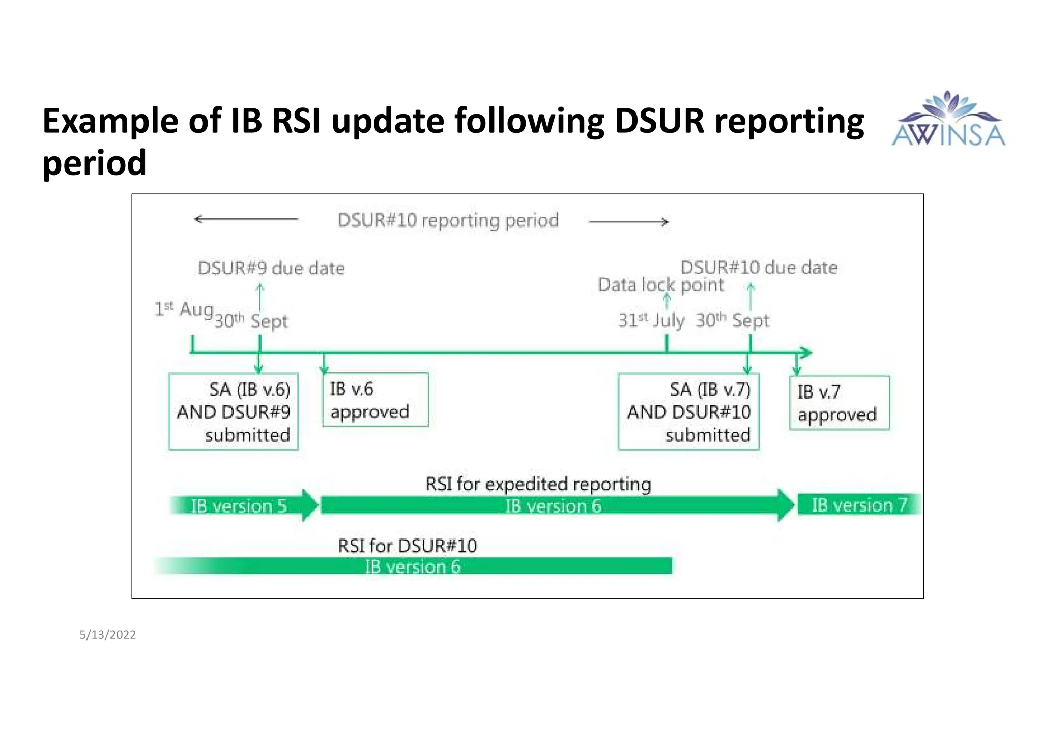 CTFG guidance for RSI_Webinar_13 May 2022.pdf