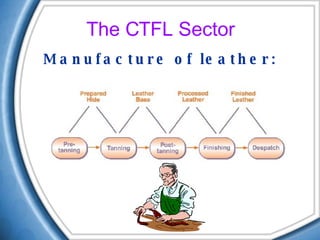 Ctfl Seta Careers Guide | PPT
