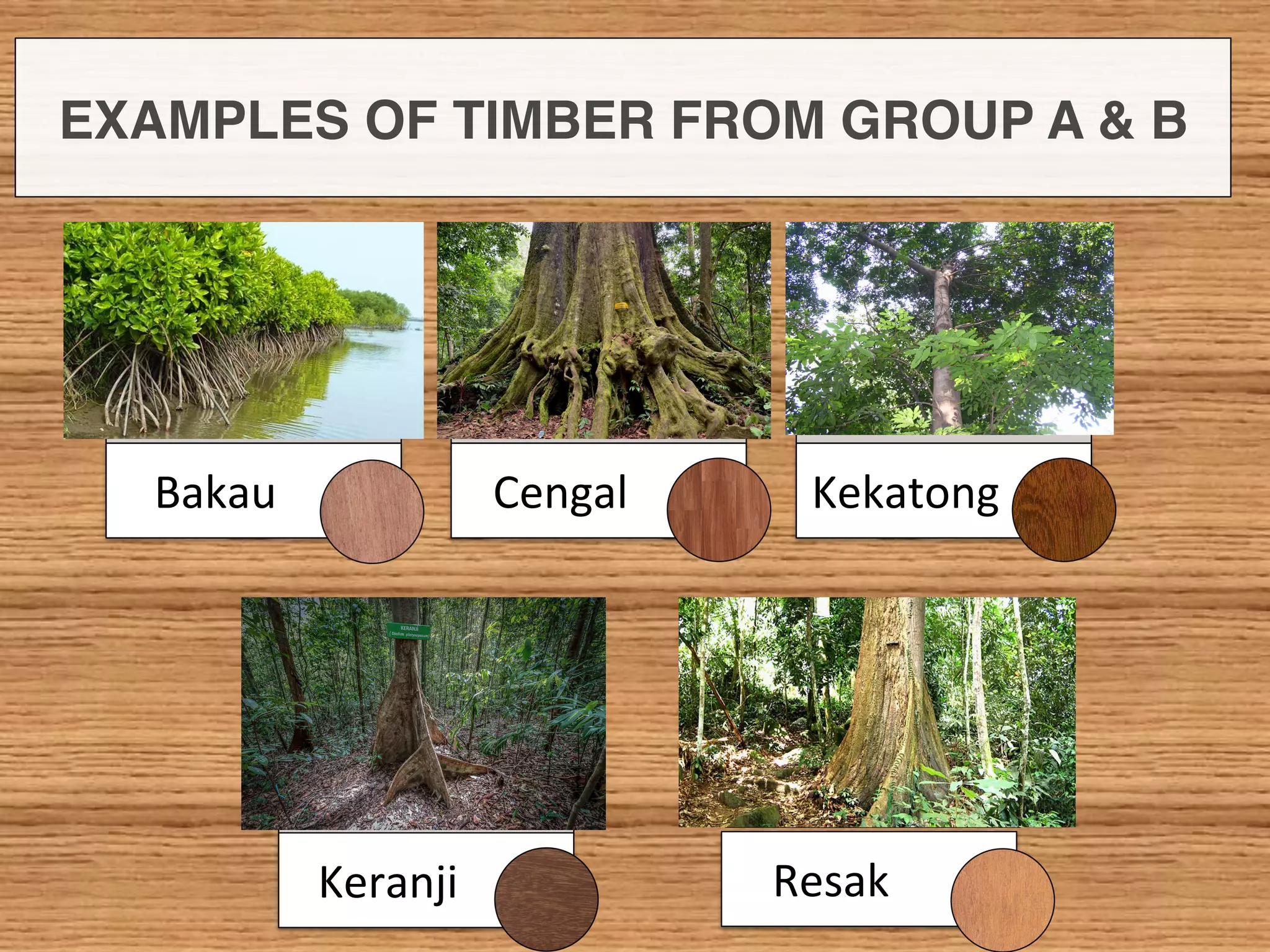 PREFABRICATED TIMBER FRAMING SYSTEM | PDF