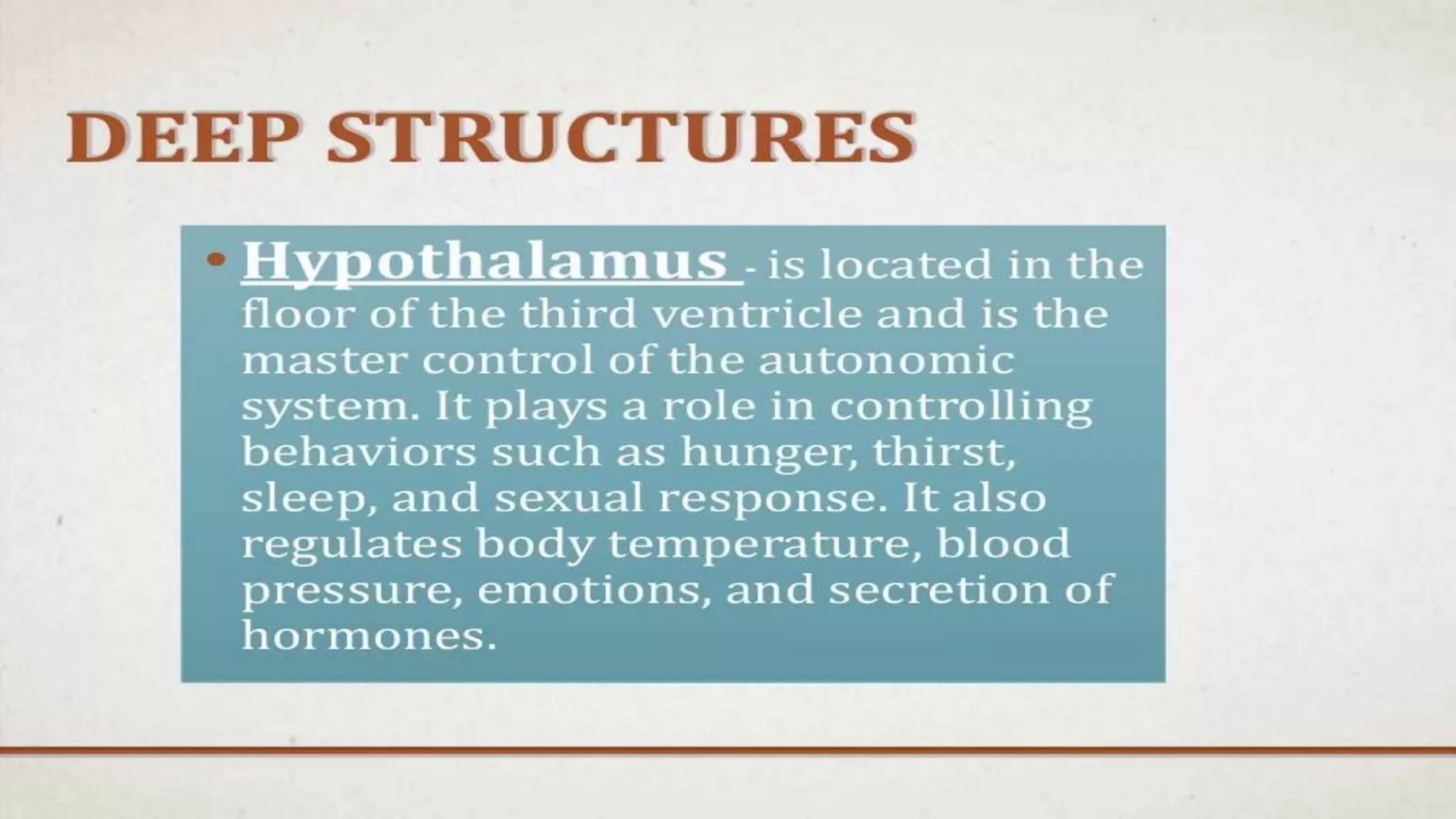 Brain ct scan (anatomy and physiology) | PPT