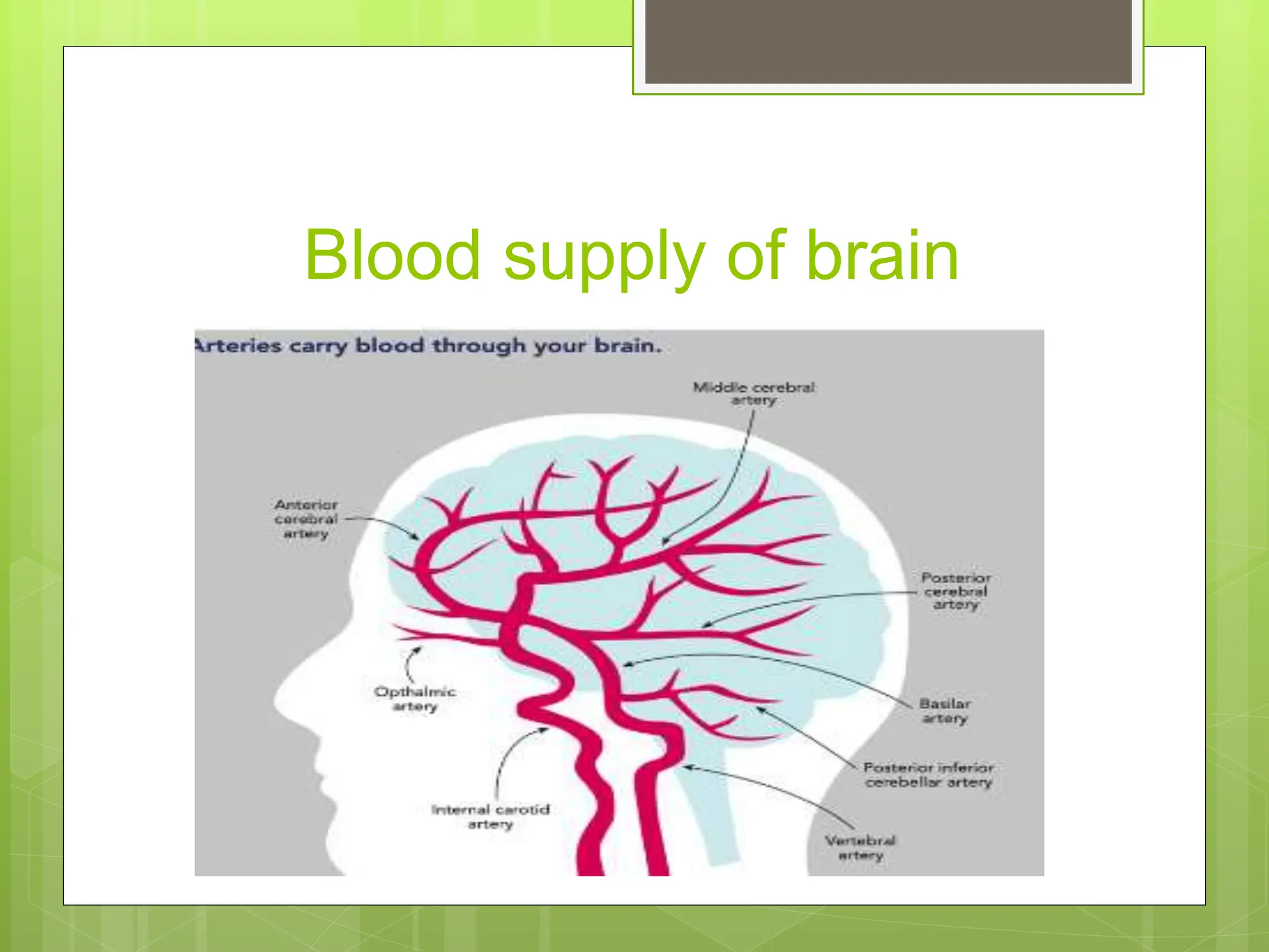 CT Head (Cerebral) Angiography.pptx, internal carotid artery. 2 ...