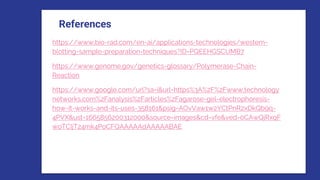 C the King HS project.pptx