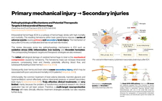 Intracerebral Hemorrhage (ICH): Understanding the CT imaging features | PDF