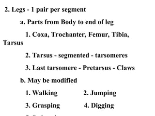 (C) Thorax &Wings. Of arthropods insects | PPT