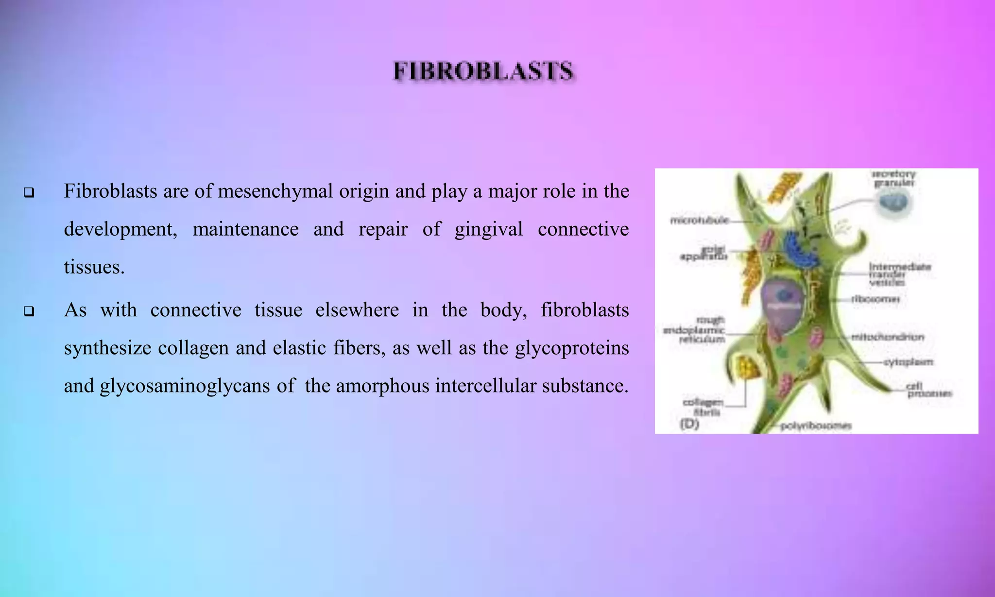 Connective Tissue in health and disease | PPTX