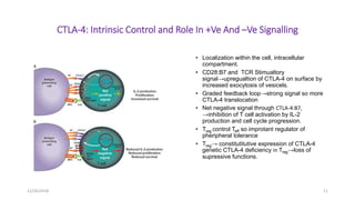 Ctla4 immune checkpoint presentaiton | PPTX