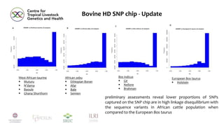 African cattle genomic reference resource, SNP assays, and signatures ...