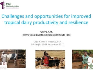 Challenges and opportunities for improved tropical dairy productivity and resilience | PPT