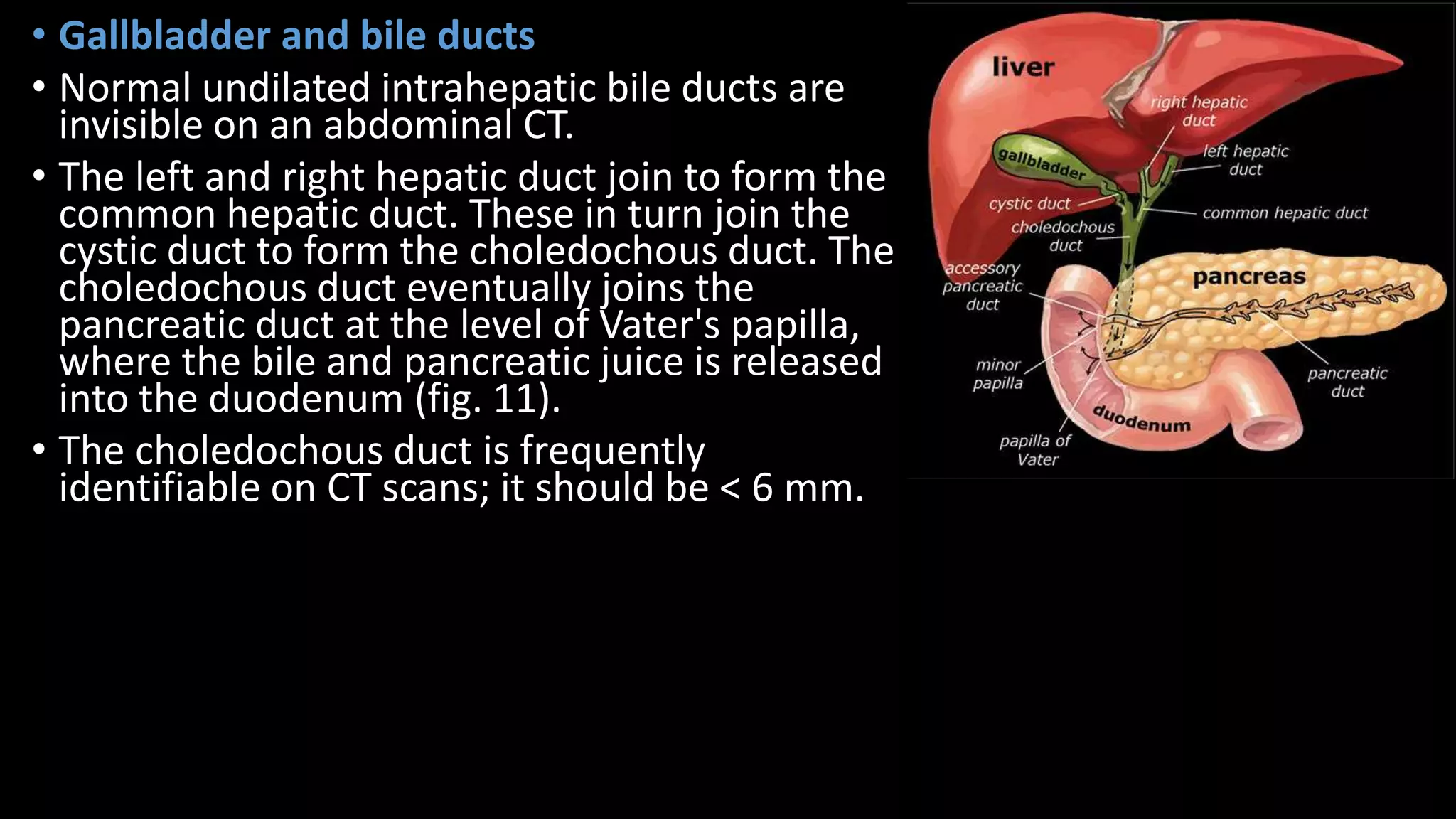 LIVER SEGMENT ANATOMY CT SCAN | PPTX