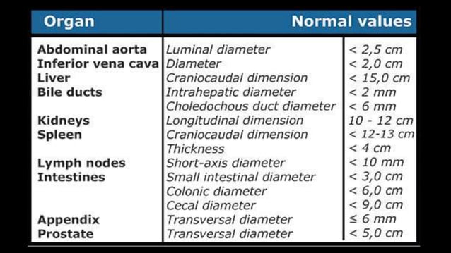 Liver segments Radiopaedia.com1