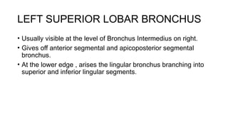 CT LUNG BRONCHO PULMONARY SEGMENTS ANATOMY.pptx
