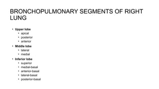 CT LUNG BRONCHO PULMONARY SEGMENTS ANATOMY.pptx