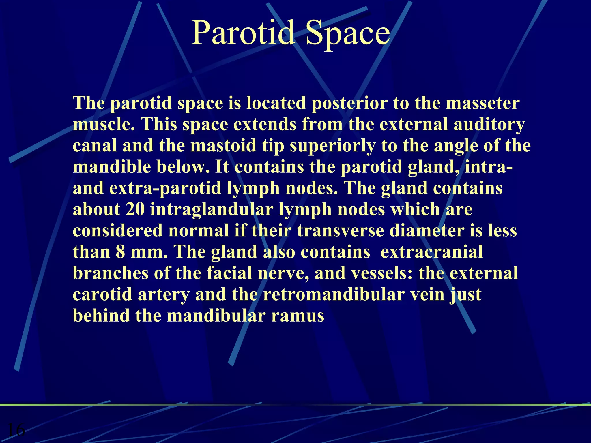 CT ANATOMY OF THE NECK SPACES | PPT