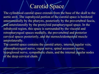CT ANATOMY OF THE NECK SPACES | PPT