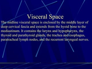 CT ANATOMY OF THE NECK SPACES | PPT