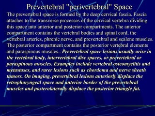 CT ANATOMY OF THE NECK SPACES | PPT