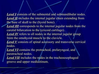 CT ANATOMY OF THE NECK SPACES | PPT