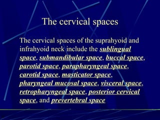 CT ANATOMY OF THE NECK SPACES | PPT