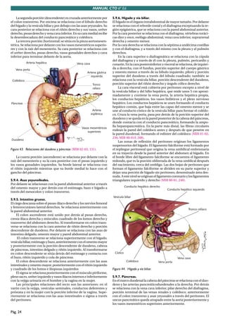 Cto anatomia | PDF