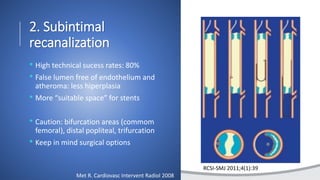 Treatment of Long Lesions and Femoropopliteal CTO | PPSX