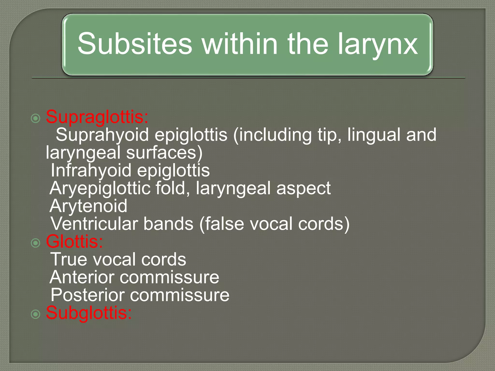 Ct of the larynx | PPTX
