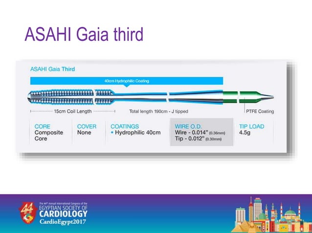 PCI guidewires | PPTX | Wearable Technology | Consumer Electronics