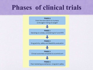 Clinical Trial Phases Timing