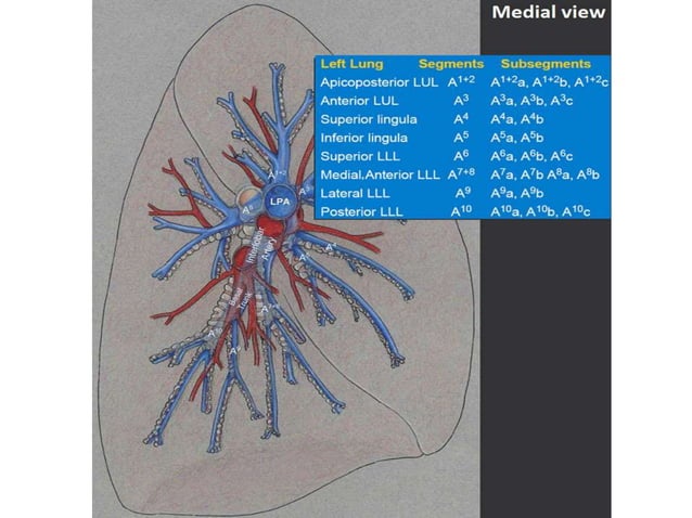 CT Pulmonary Angiography | PPTX