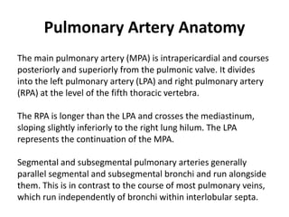 CT Pulmonary Angiography | PPTX