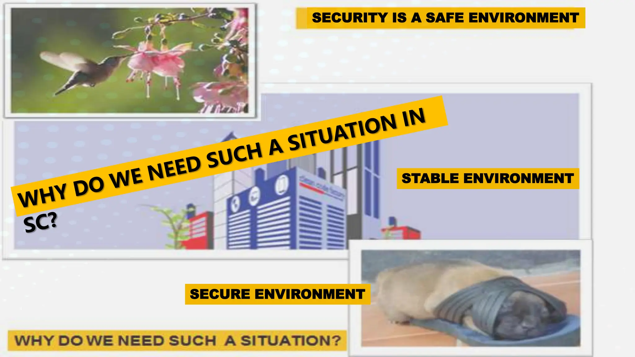 Ctpat Pptx Presentationpptx Minimum Security Pptx Information And Network Security