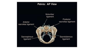 Ct pelvis and its pathologies | PPTX