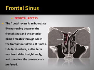 CT ANATOMY OF PARA NASAL SINUSES | PPTX