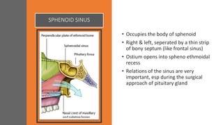 Imaging of paranasal sinuses RV | PPTX