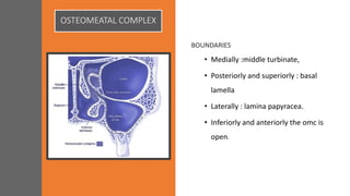 Imaging of paranasal sinuses RV | PPTX