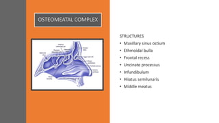 Imaging of paranasal sinuses RV | PPTX