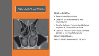 Imaging of paranasal sinuses RV | PPTX