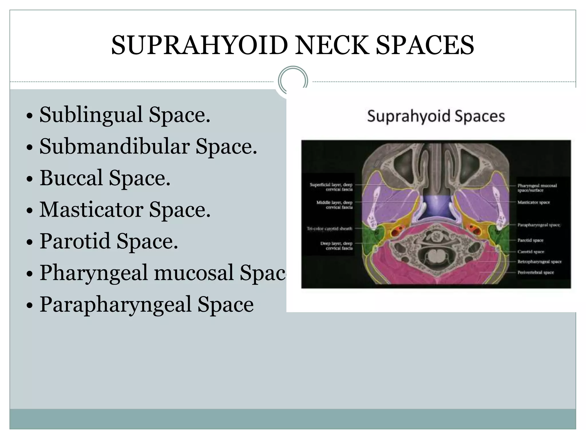 CT procedure of neck | PPTX