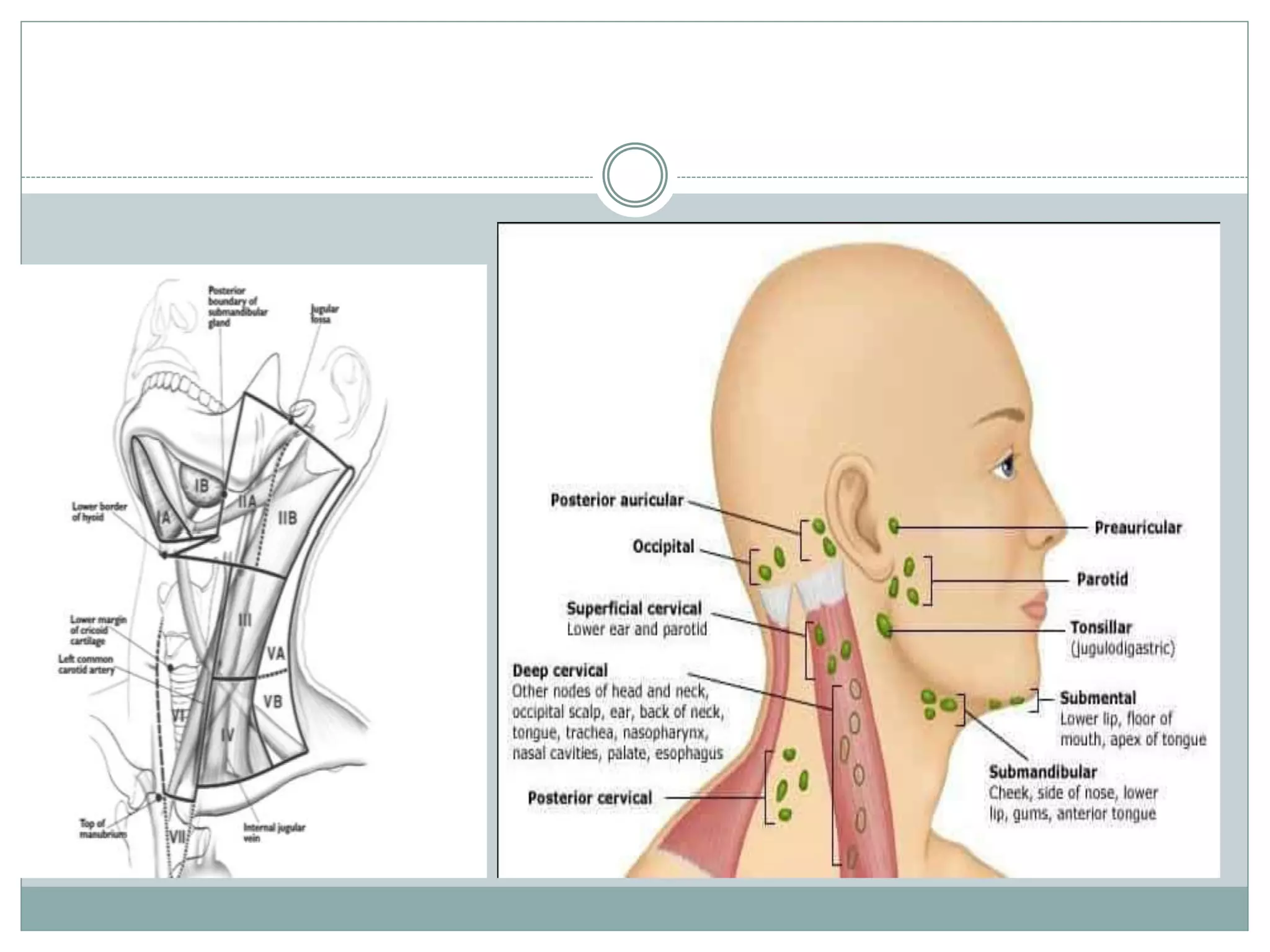 CT procedure of neck | PPTX
