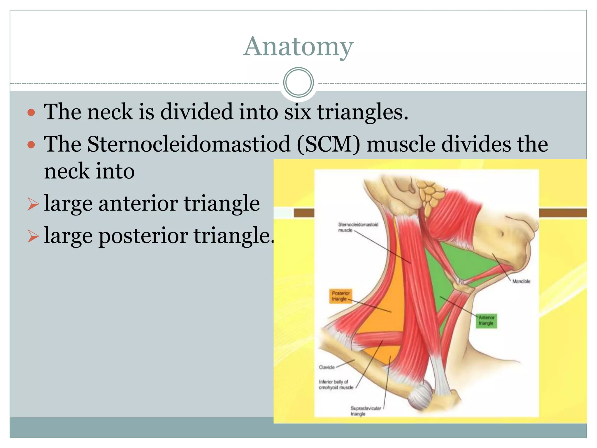 CT procedure of neck | PPTX