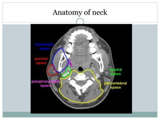 CT procedure of neck | PPTX