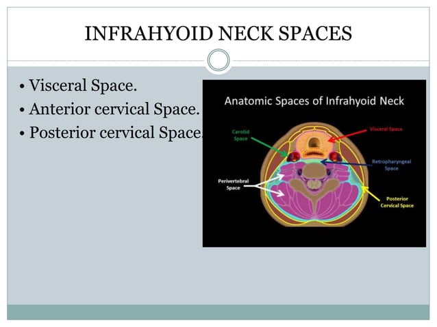CT procedure of neck | PPTX