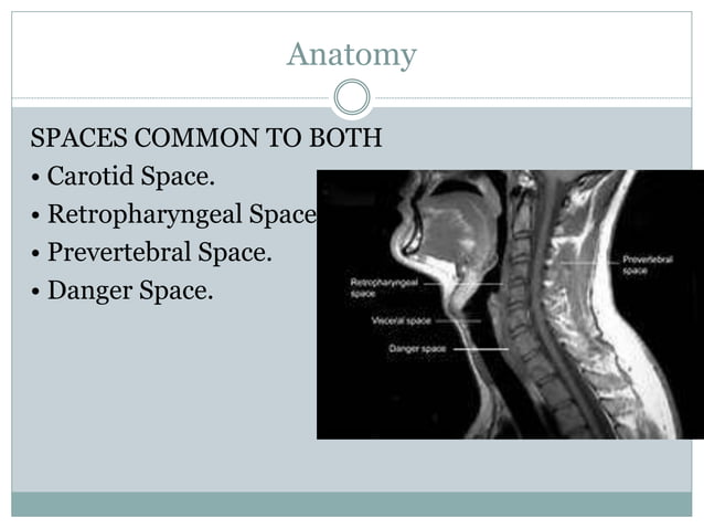 CT procedure of neck | PPTX