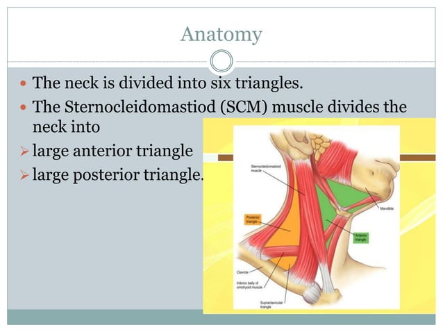 CT procedure of neck | PPTX