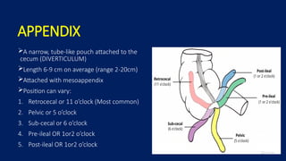 CT PROCEDURE OF ABDOMEN AND PELVIS.pptx imp | PPTX
