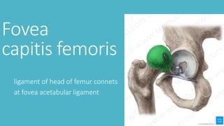 Computed Tomography procedure of lower limb | PPTX