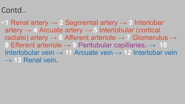 Ct protocol for ivu | PPTX