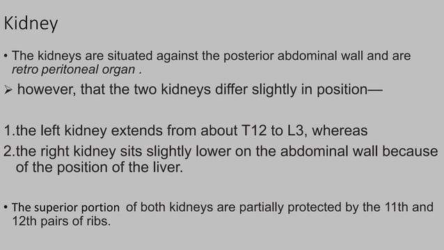Ct protocol for ivu | PPTX
