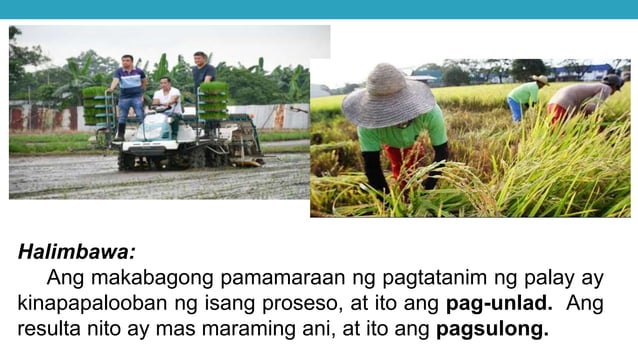 CTR-AP9-Q4-W1.pptx | Free Download